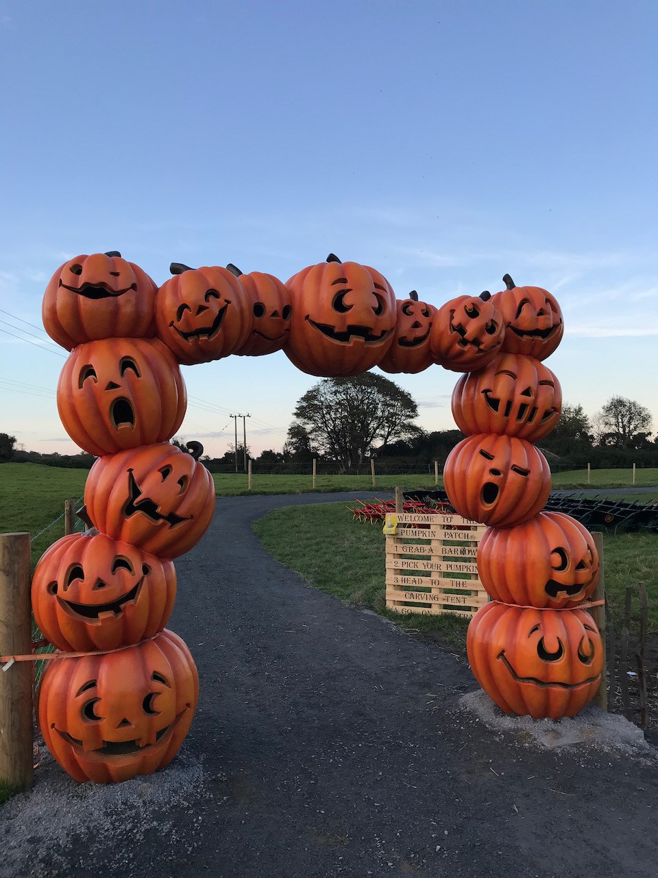 Pumpkin Patches Ireland – Flipflops and Floaties